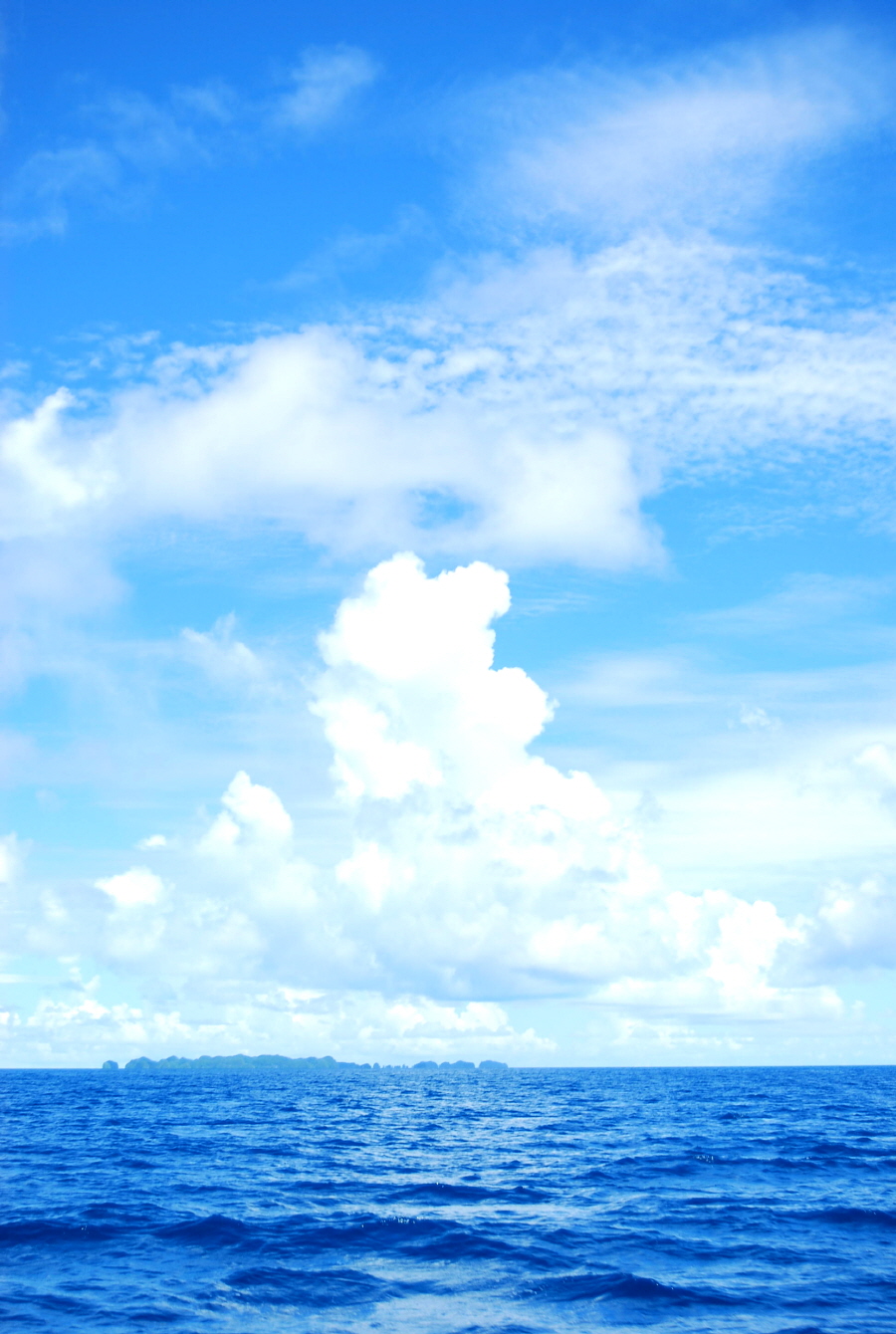 [브런치북] 다시 읽기