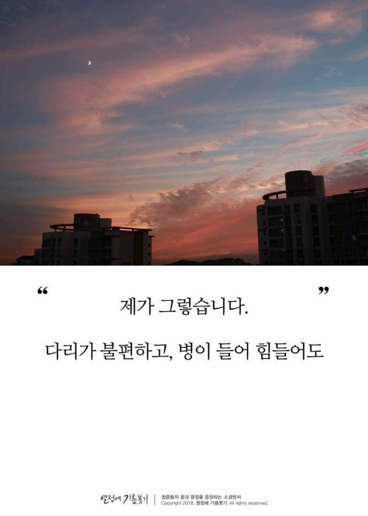 #감동스토리 삶의 표지판 - 인스티즈(instiz) 이슈 카테고리