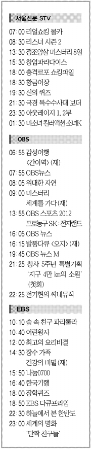 [13일(土) 서울신문 STV·OBS·EBS]