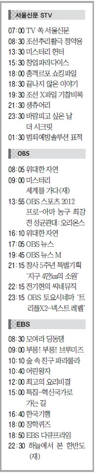 [1일(土) 서울신문 STV·OBS·EBS]