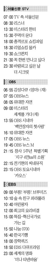 [8일(土) 서울신문 STV·OBS·EBS]