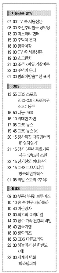 [15일 서울신문 STV·OBS·EBS]