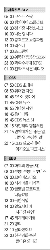 [21일(日) 서울신문 STV·OBS·EBS]