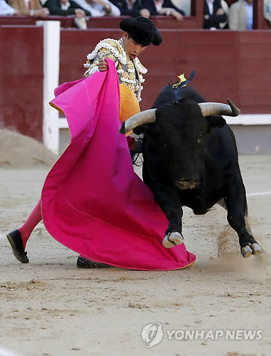 SPAIN BULLFIGHTING