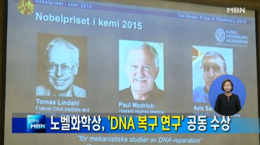 노벨화학상 'DNA 복구과정' 규명한 3명 수상..상금은 얼마?