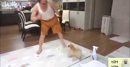 아버지는 강아지가 싫다고 하셨어 - 인스티즈(instiz) 인티영상 (종료) 카테고리