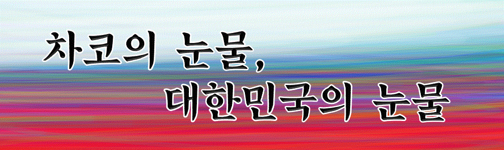 차코의 눈물 네이버 블로그