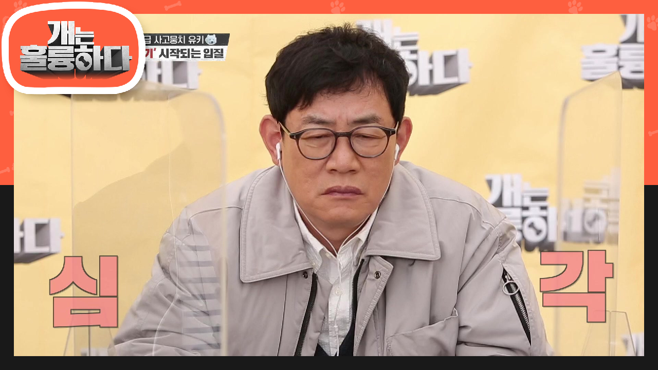 ※표정관리 실패※ 계속되는 입질에 표정관리 실패한 규제자!! | KBS 210315 방송 - 개는 훌륭하다 - 71회 2부 | 다음연예