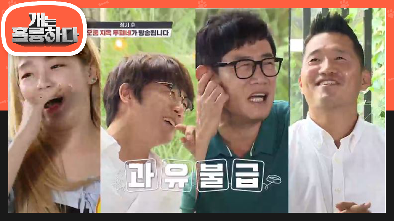 다음연예 | 다니엘의 고급 어휘에 감탄하는 한국사람들ㅋㅋ (Feat: 과유불급) | KBS 200907 방송 - 개는 훌륭하다 - 44회 2부