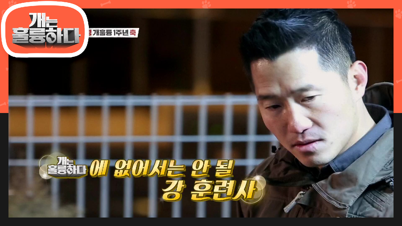 ※경.축※ 반려견과 희로애락을 함께한 개훌륭 1주년☆ | KBS 201026 방송 - 개는 훌륭하다 - 51회 1부 | 다음연예