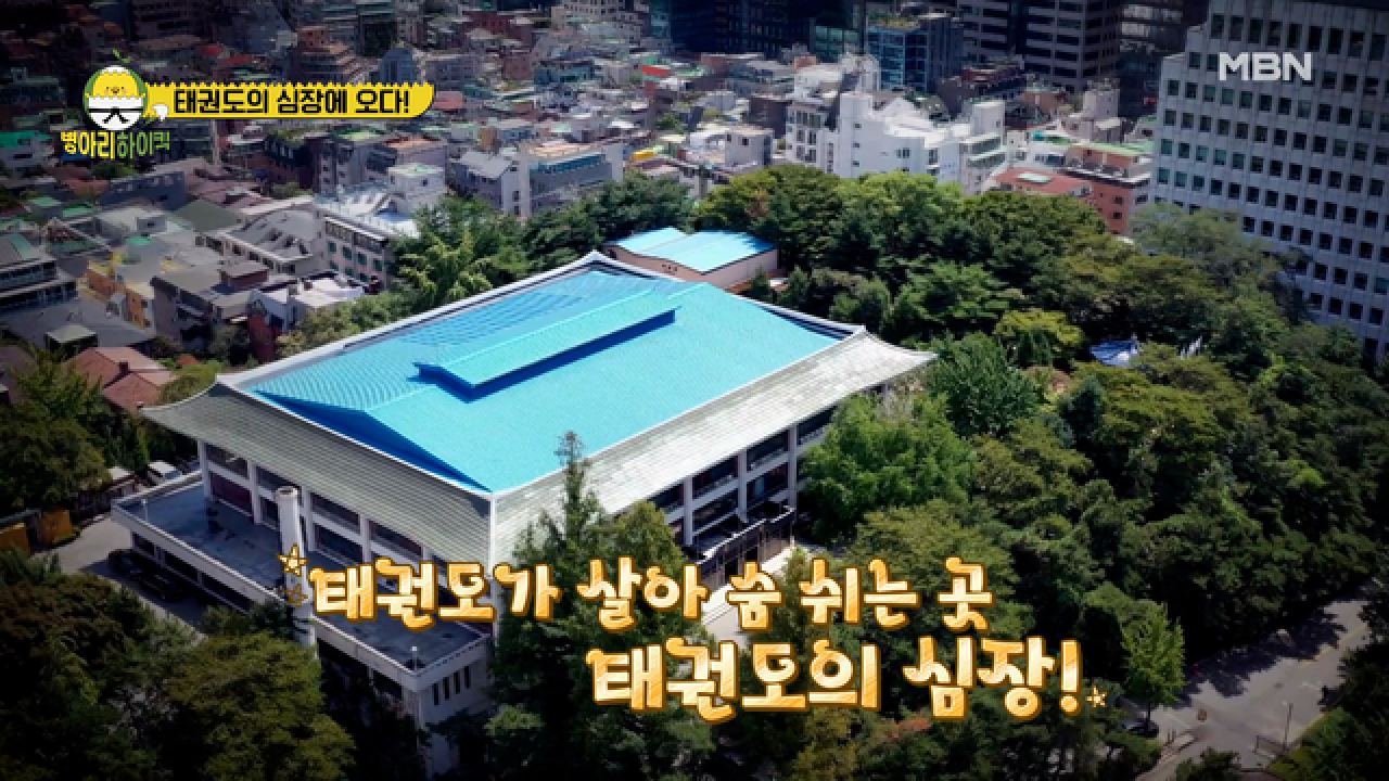 다음연예 | 병아리 노란띠를 향한 출격! 가자! 태권도의 본부로! MBN 210613 방송 - 병아리 하이킥 8회 - 2021.06.13