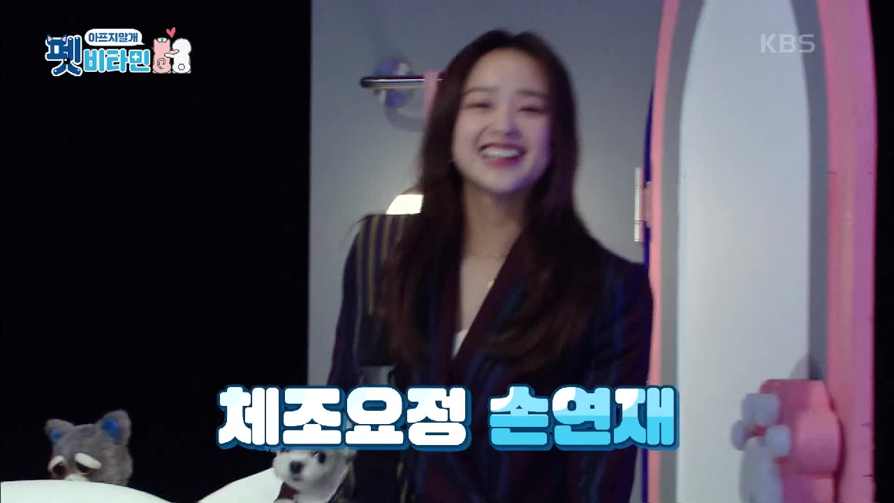 다음연예 | 펫 비타민의 첫 번째 의뢰인은 누구? | KBS 201015 방송 - 펫 비타민 - 1회