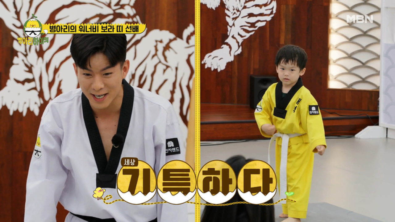 다음연예 | 흰띠 대표 최태혁! 태혁 1장 창시?! MBN 210613 방송 - 병아리 하이킥 8회 - 2021.06.13
