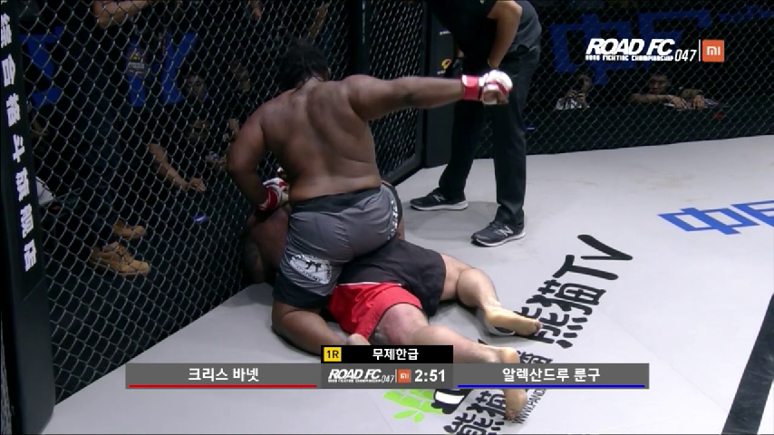 '무자비 파운딩' 크리스 바넷 1R TKO 승 | 다음스포츠