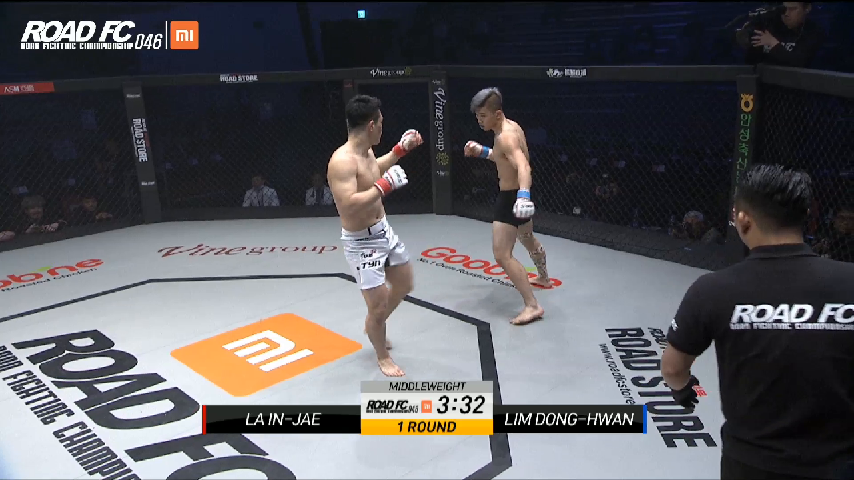 다음스포츠 | [풀영상] 라인재 vs 임동환 로드FC 046