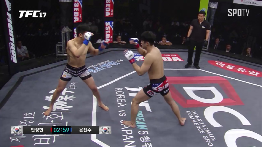 다음스포츠 | [HL] TFC17 안정현 vs 윤진수