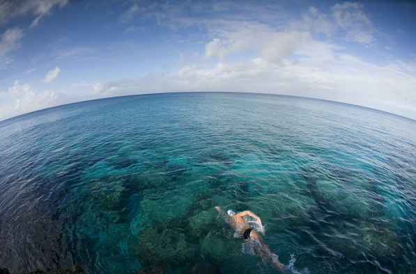 12화 [야! 너두 수영할 수 있어] 11. 아름답게 수영하기