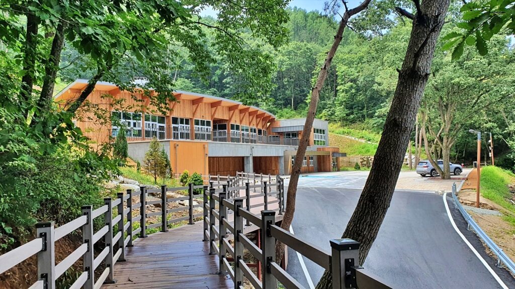 한여름에도 시원... 이미 14만이 찾은 휴양림의 정체