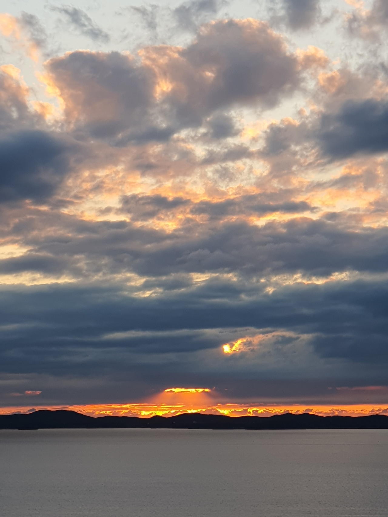 [연재 브런치북] 네 꿈이 뭐니?