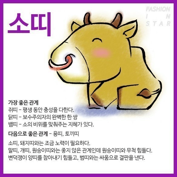 Daum 카페