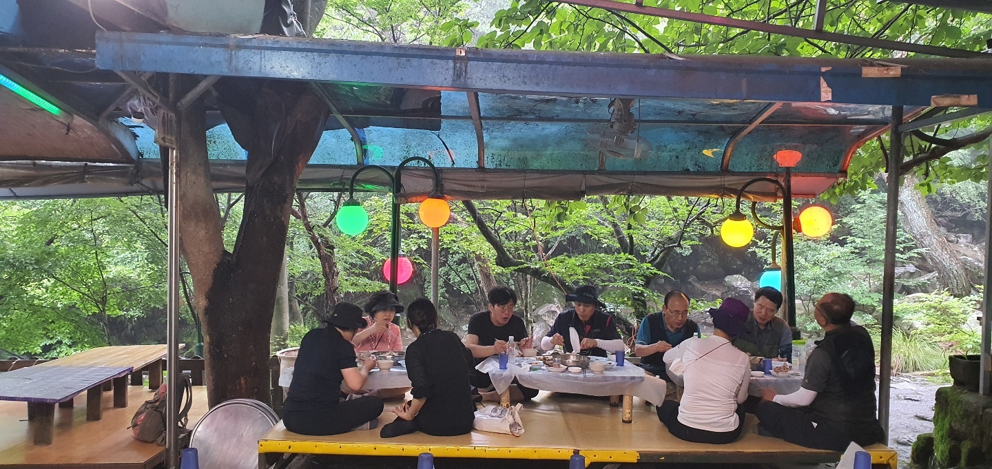 Daum 카페
