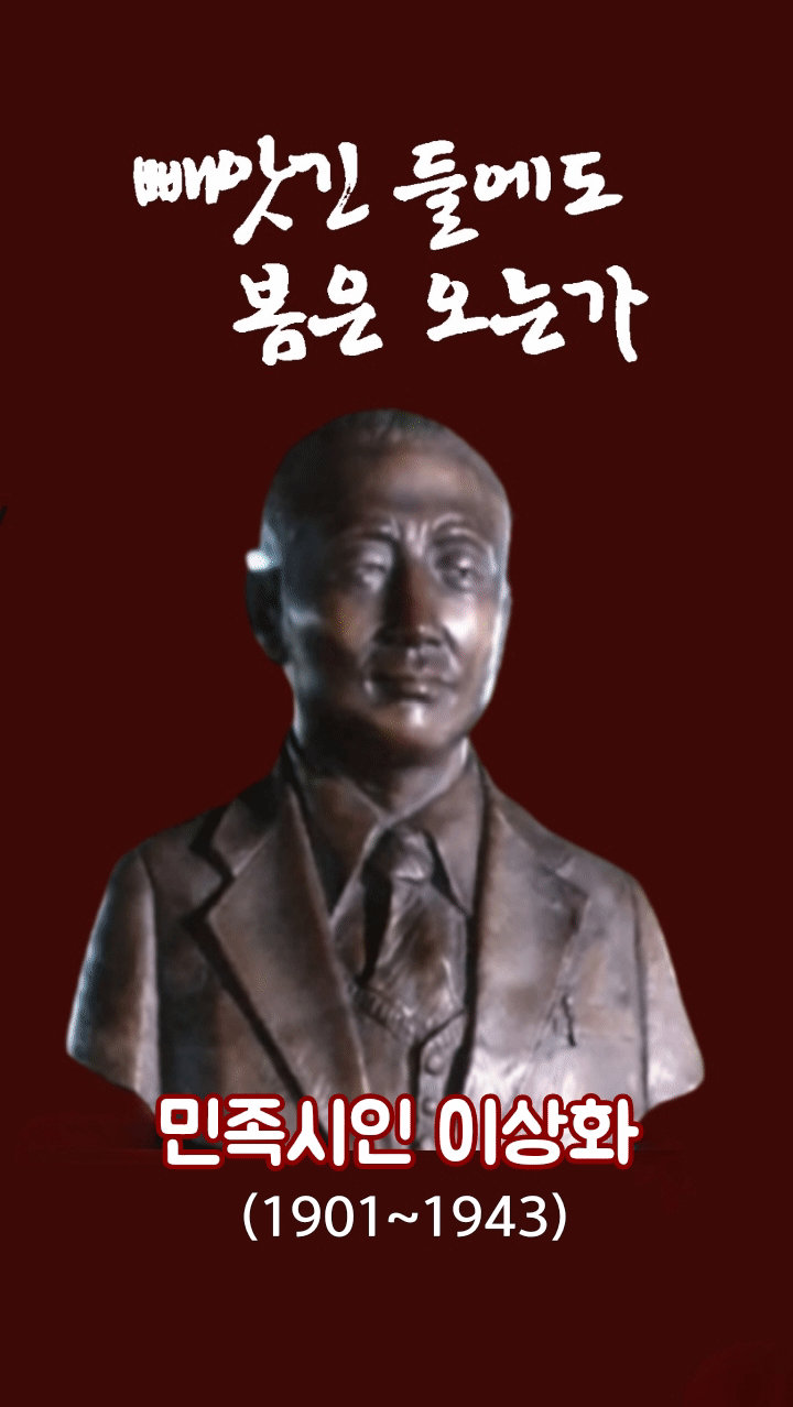 Daum 카페