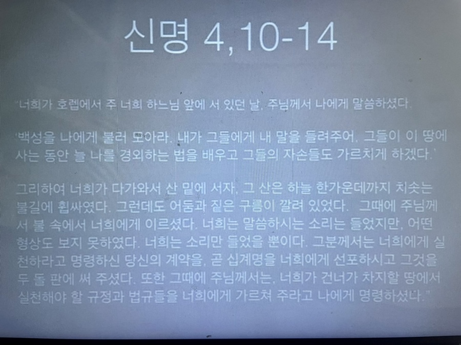 Daum 카페