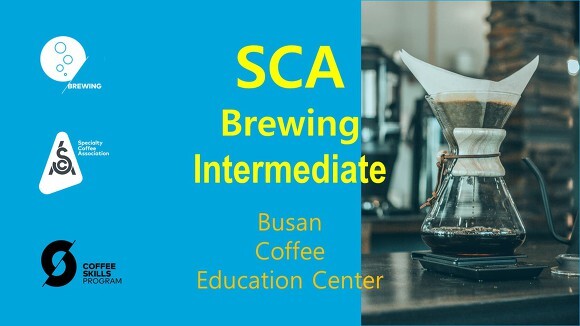 [02월 15일 개강/오전 11시] SCA 브루잉 Intermediate 과정 개강 안내 / 정원마감 - SCA 브루잉 중급 ...