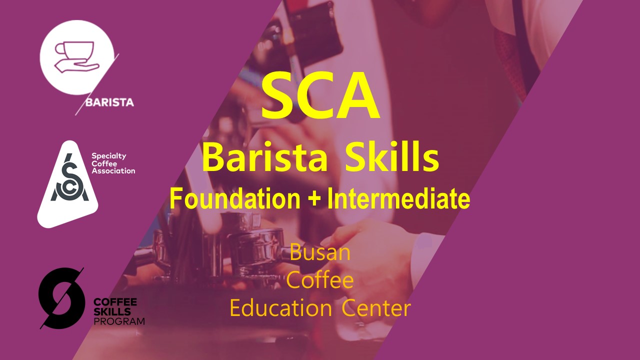 [07월 05일 개강/오전 10시] SCA 바리스타 Foundation & Intermediate 과정 개강/마감 - SCA ...