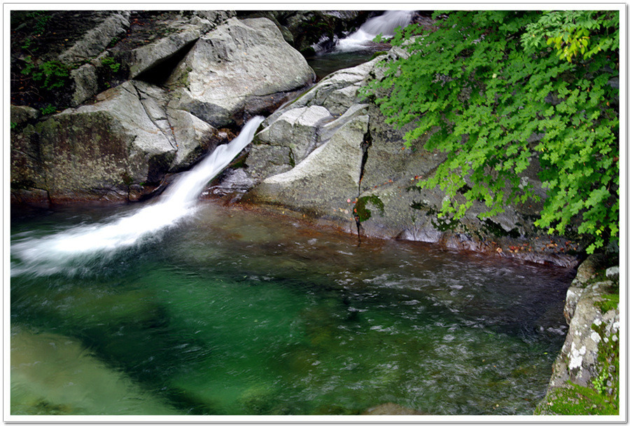 ♣8/19~20(토/일)지리산 반야봉과 시원한 뱀사골 - 8/19~20(토/일)지리산 반야봉과 시원한 뱀사골 - 다음매일 산악회