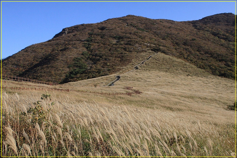 ♣9/23(토)간월산+신불산+영축산 영남알프스 억새산행 - 연기))9/23(토)간월산+신불산+영축산 영남알프스 억새 - 다음매일 산악회