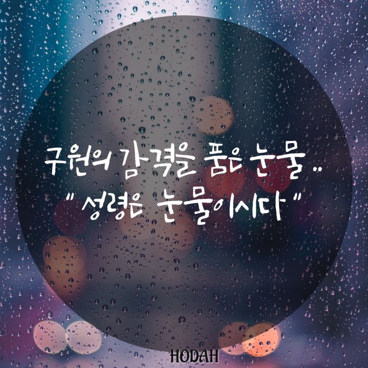 Daum 카페