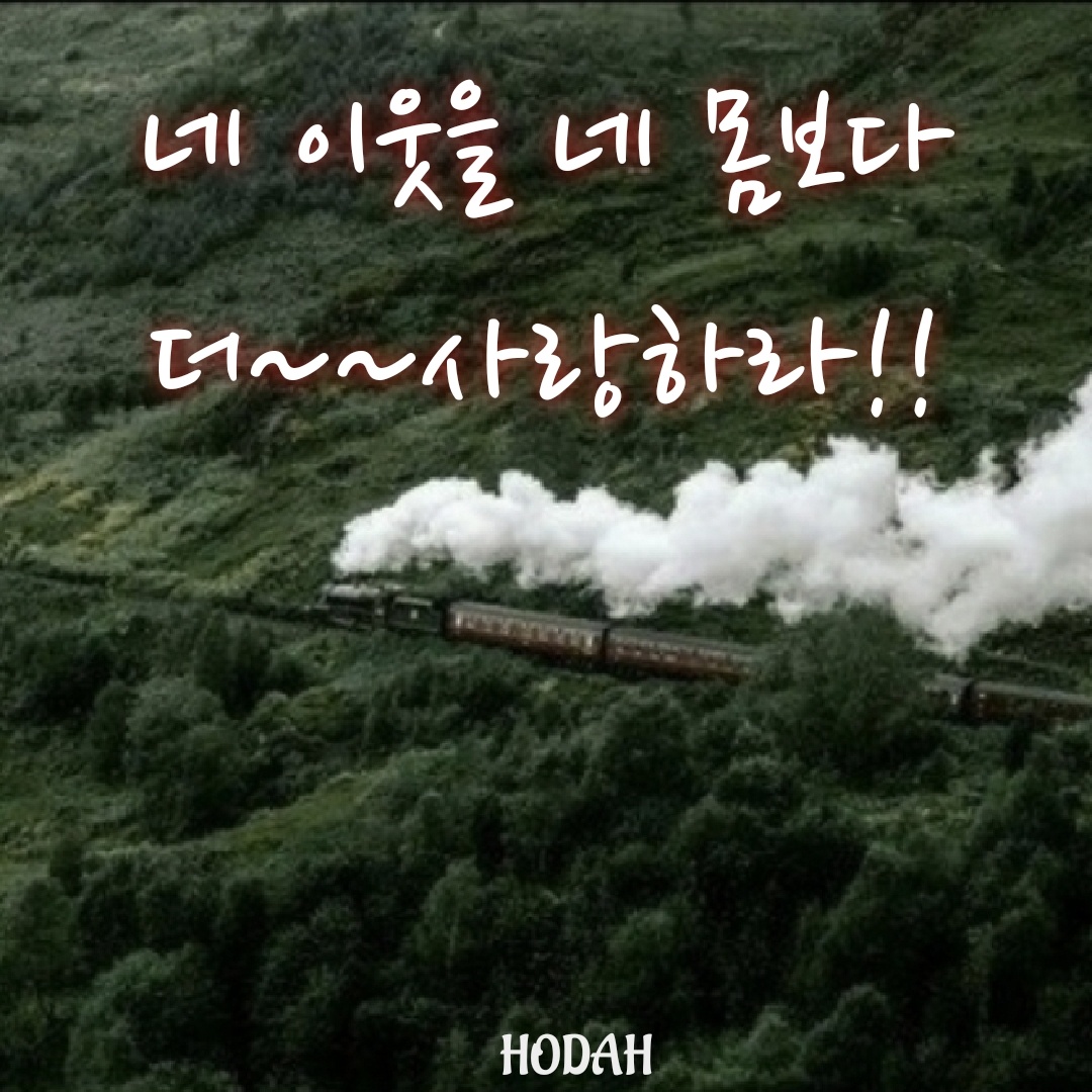 Daum 카페