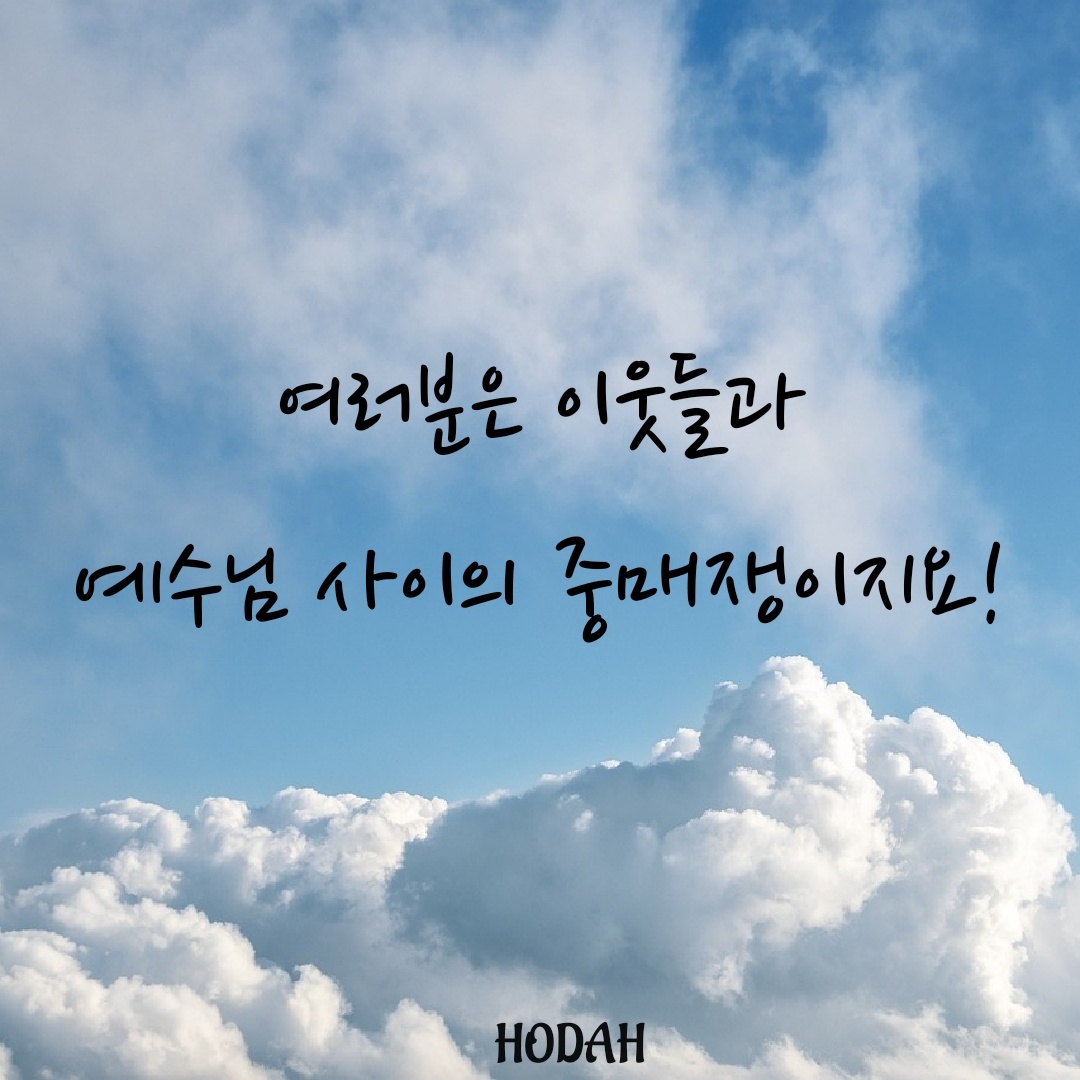 Daum 카페