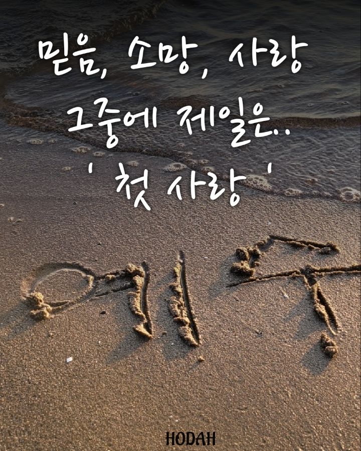 Daum 카페
