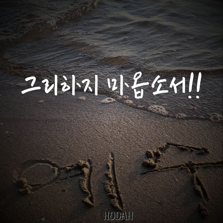 Daum 카페