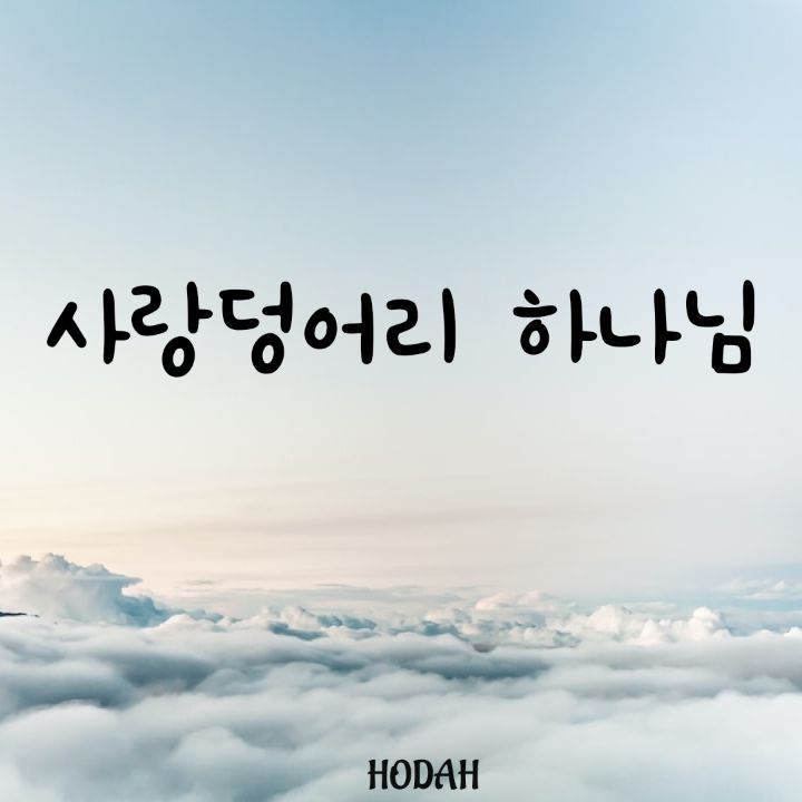 Daum 카페