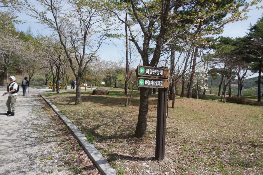 장군봉(822m) 형제봉(688m) 살개봉(424m) 깃대봉(391m 예천 414) 오미봉(207m) 동지미(216m)/경북 예천