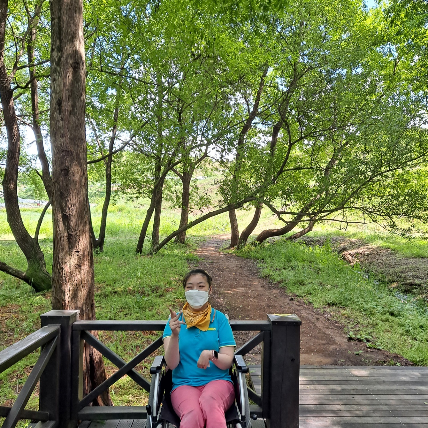 Daum 카페