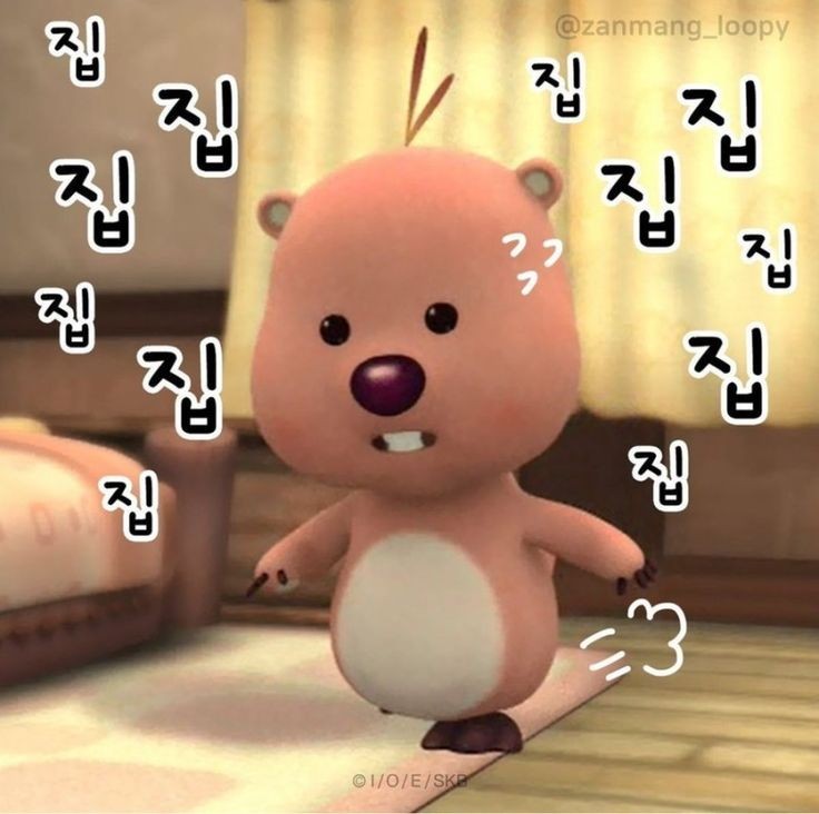 내가 좋아하는 루피짤🩷 짤방백과 ＊여성시대＊ 차분한 20대들의 알흠다운 공간
