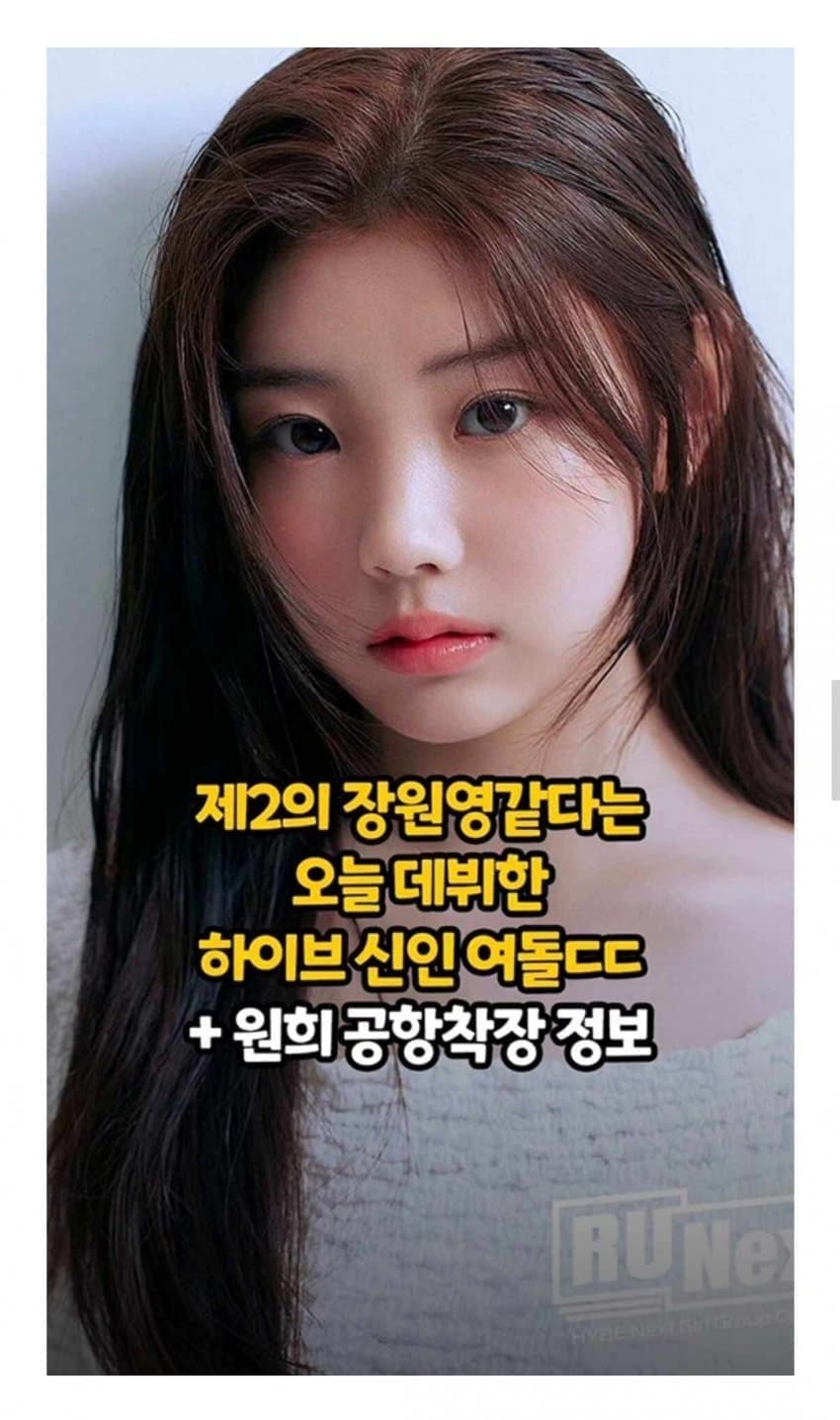 Daum 카페