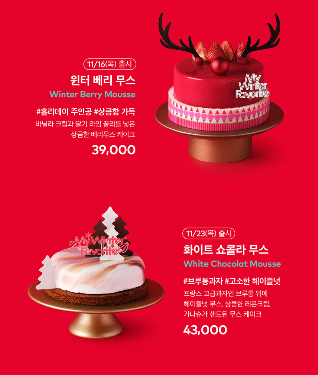 투썸플레이스 홀리데이 시즌 케이크 출시 - 악플달면 쩌리쩌려버려 - ＊여성시대＊ 차분한 20대들의 알흠다운 공간