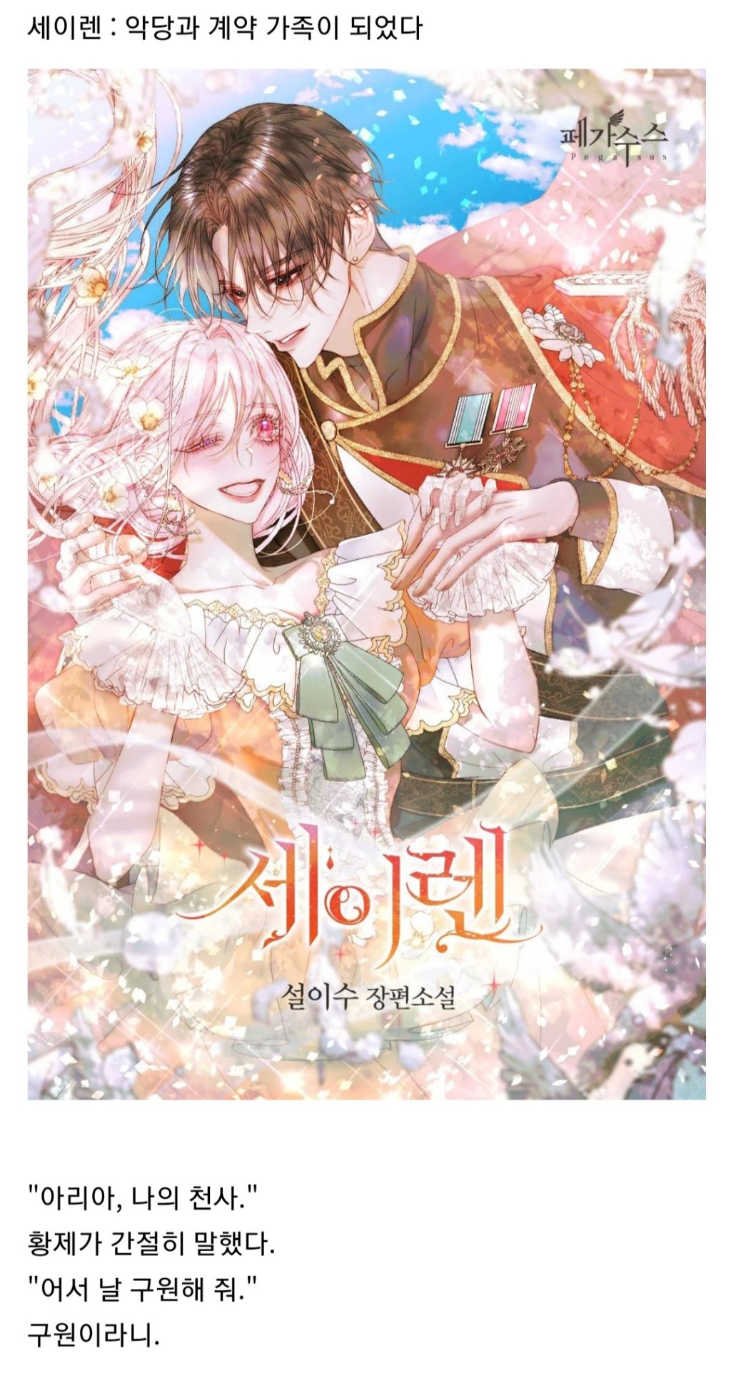 Daum 카페