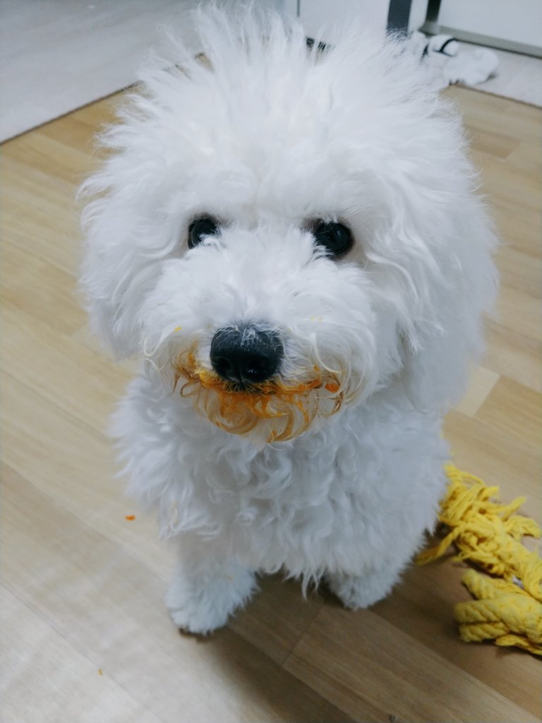 조용하길래 자는줄 알았는데 - 악플달면 쩌리쩌려버려 - ＊여성시대＊ 차분한 20대들의 알흠다운 공간