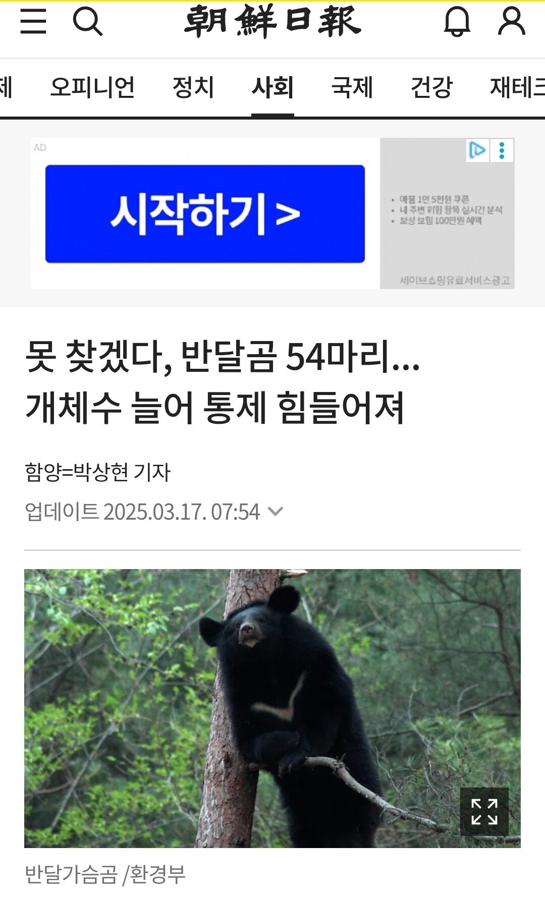 Daum 카페