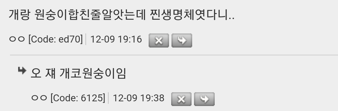 Daum 카페