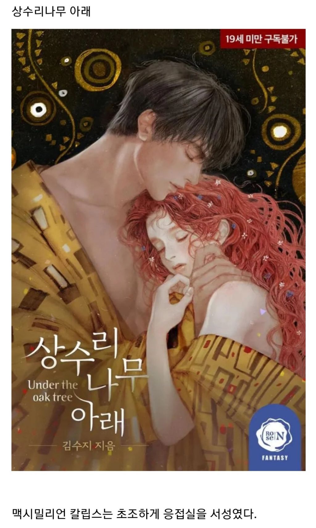 Daum 카페