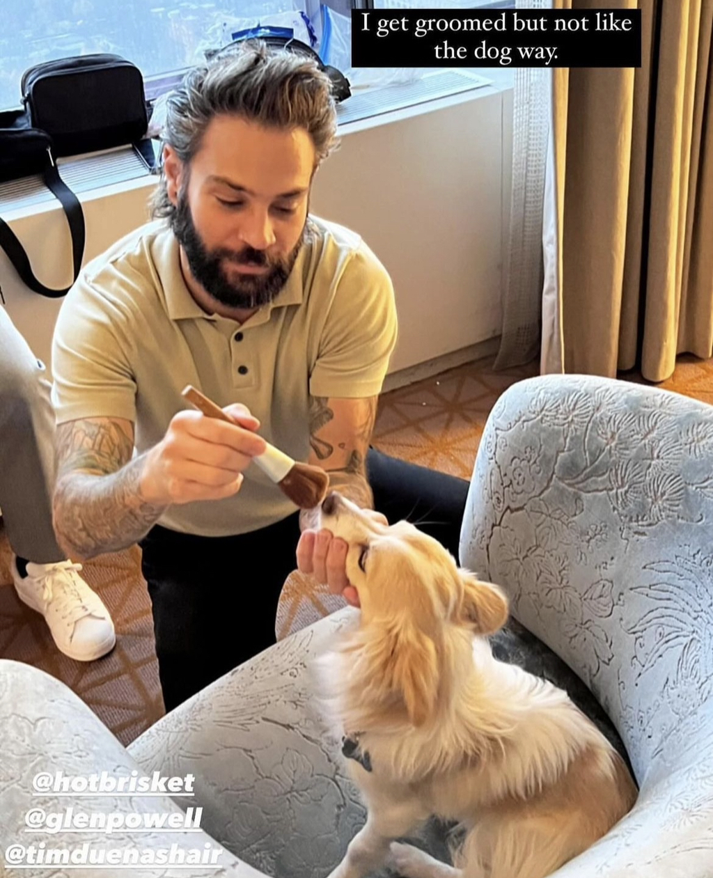 탑건 행맨이 입양한 강아지 브리스킷 근황 - 쩌리쩌리쩌리쩌리 - ＊여성시대＊ 차분한 20대들의 알흠다운 공간