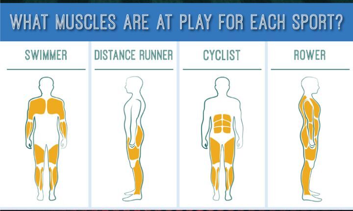각각의 운동에서 사용되는 근육과 체형 - 악플달면 쩌리쩌려버려 - ＊여성시대＊ 차분한 20대들의 알흠다운 공간