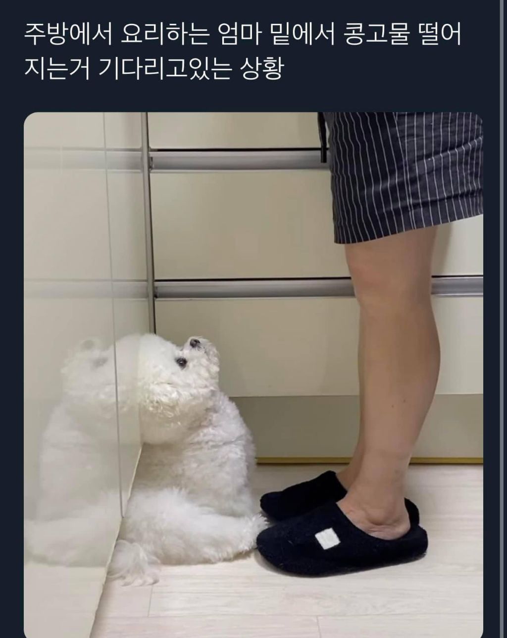 콩고물 떨어지는거 기다리고 있는 상황 - 악플달면 쩌리쩌려버려 - ＊여성시대＊ 차분한 20대들의 알흠다운 공간